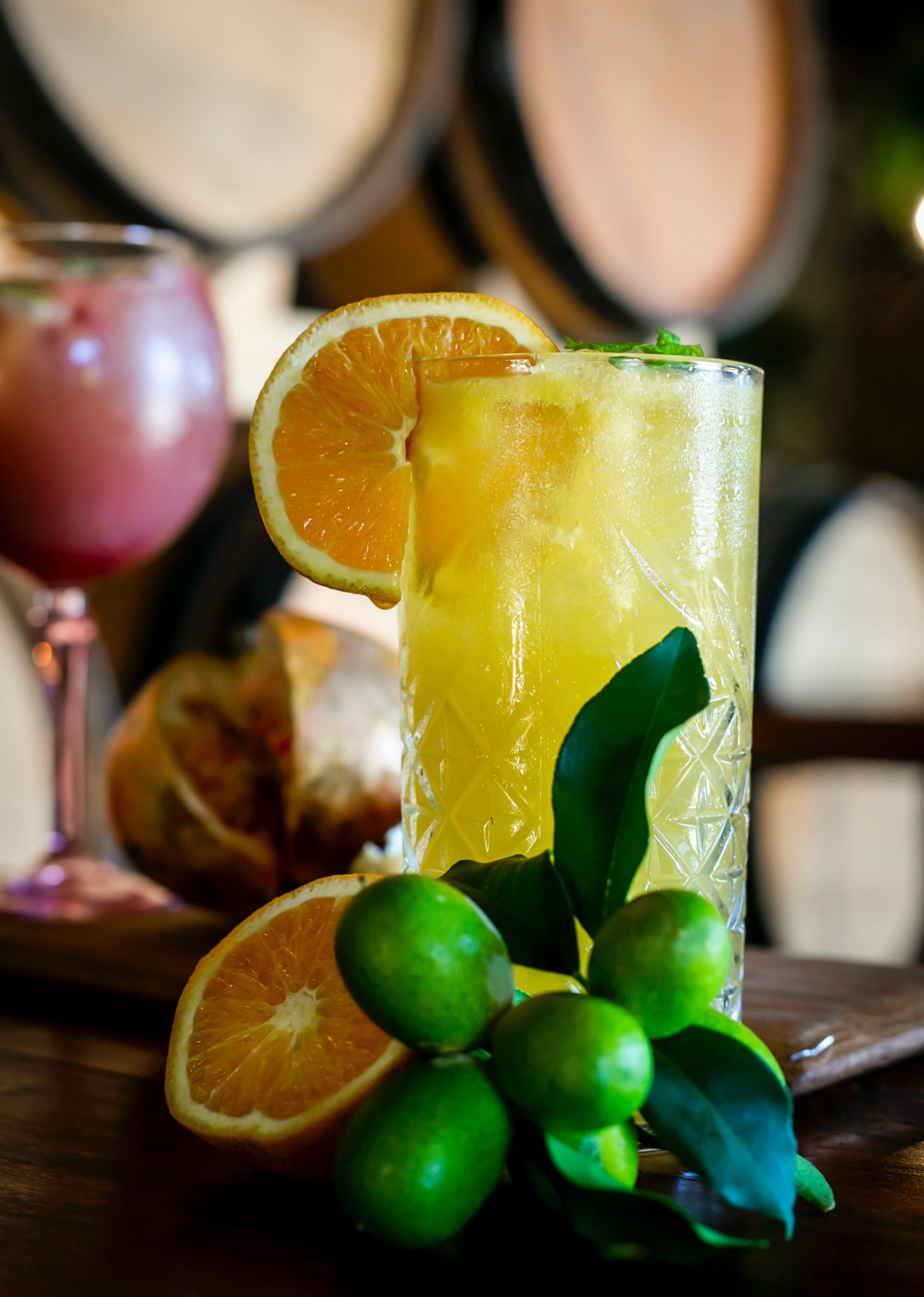 Terms – Almost Orange